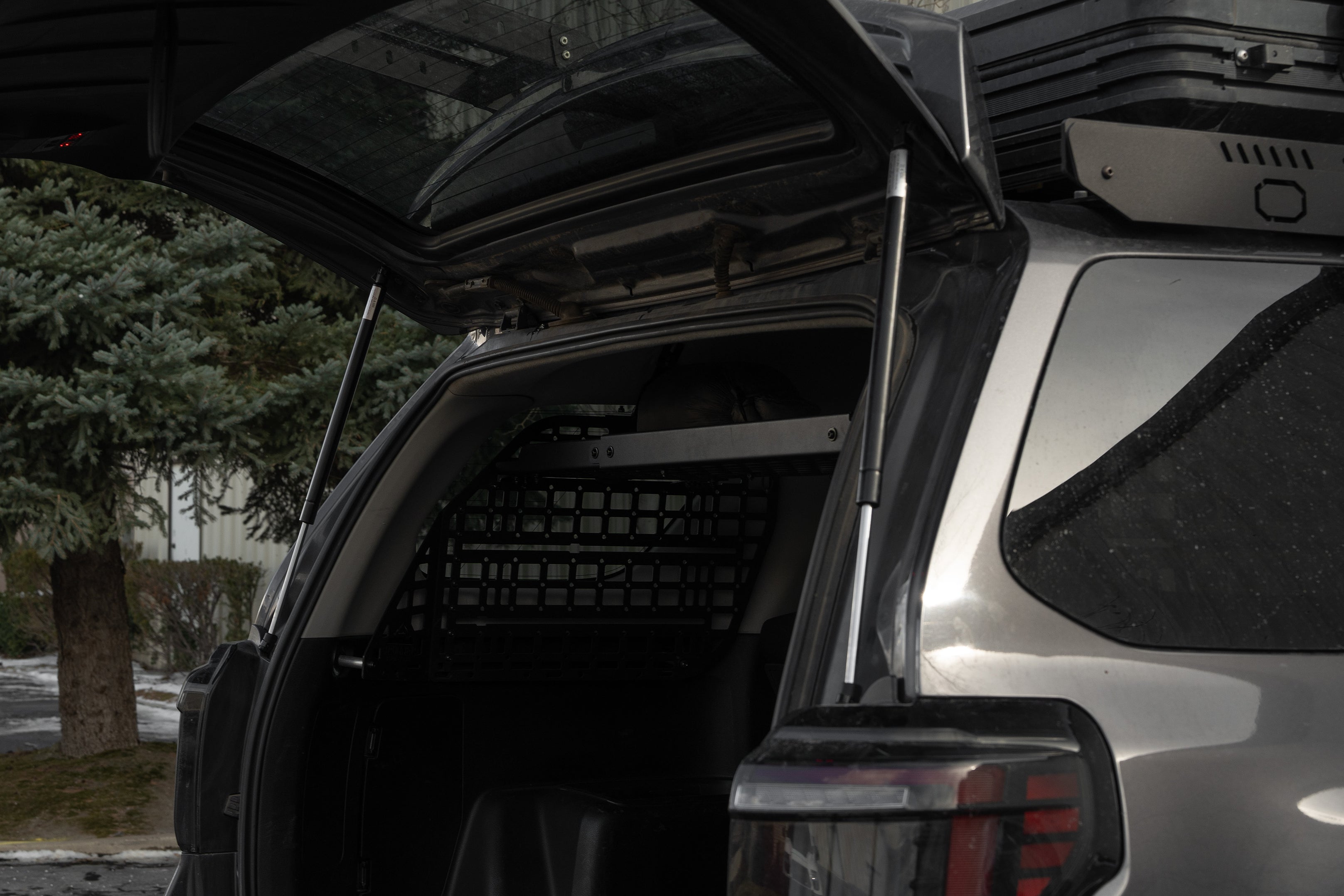 4Runner Lifestyle Extra Strength Rear Hatch Struts For 4Runner (2010-2