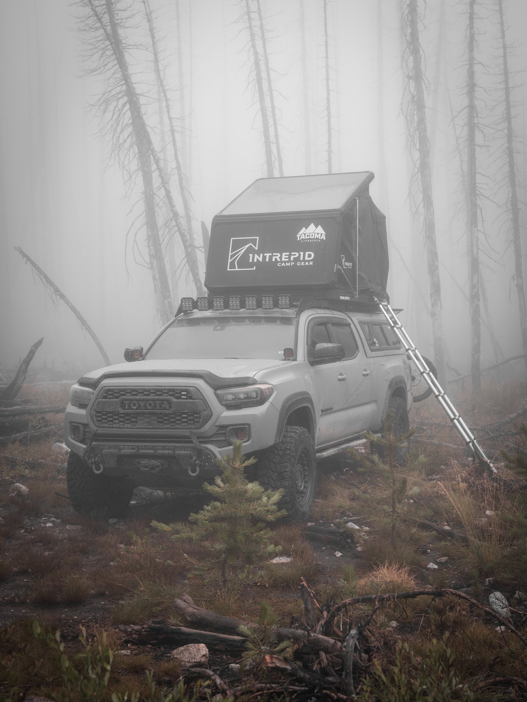 Intrepid Geo 2.5 Rooftop Tent — 4Runner Lifestyle